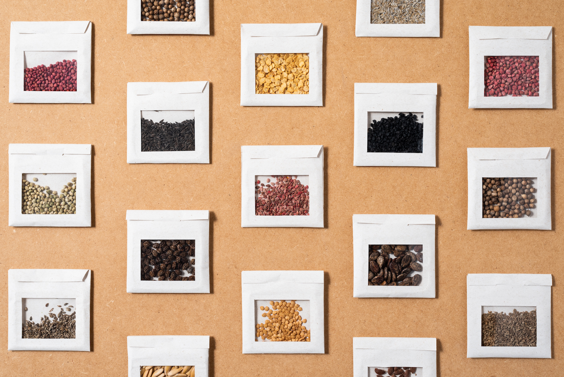 How To Start A Seed Library – Mother Earth News